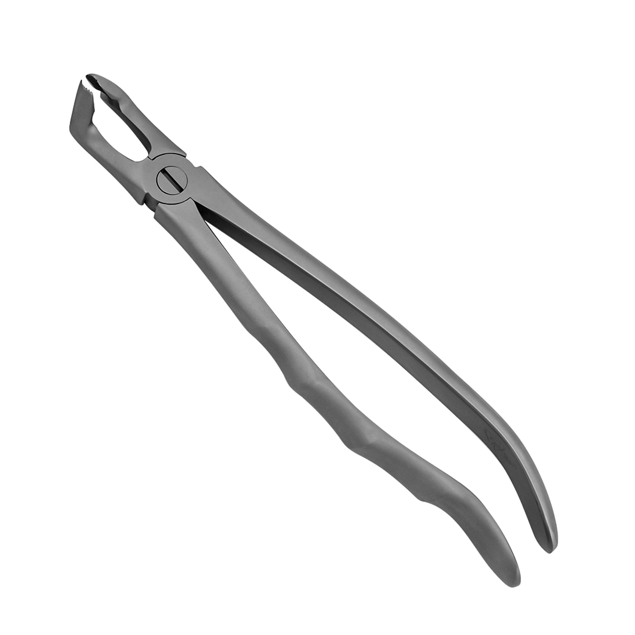 Lower Universal Extraction Forceps | ProDentUSA