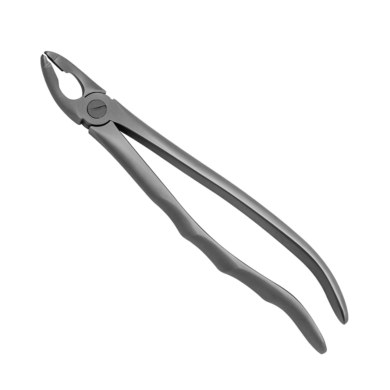 Lower Universal Extraction Forceps, Notched Tips | ProDentUSA