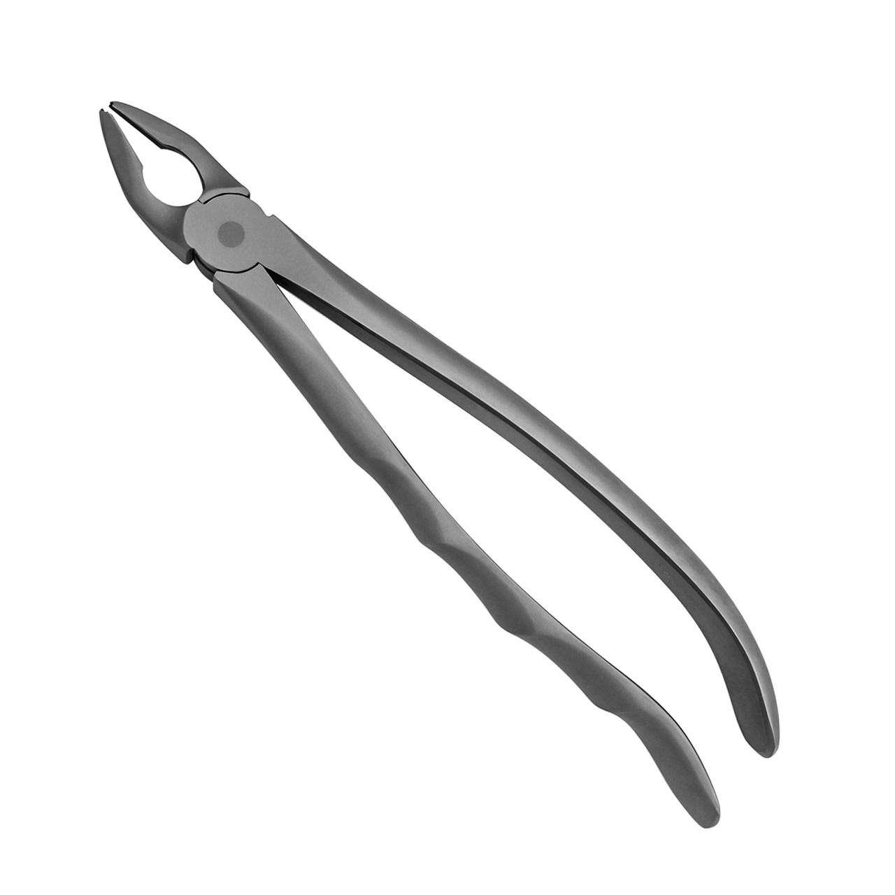 Upper Universal Extraction Forceps | ProDentUSA